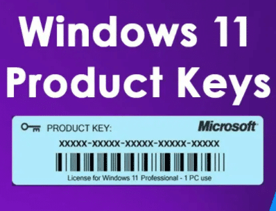 Windows 11 product key - africaplm